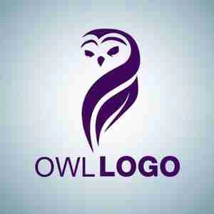 بومیلیا | وکتور جغدCreative owl logo design